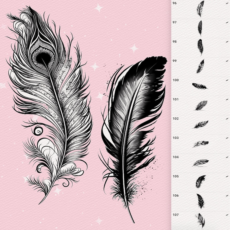 Procreate Feather Brushes. Procreate Realistic Feather Tattoo Brush ...