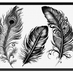 Procreate Feather Brushes, Procreate Realistic Feather Tattoo Brush ...