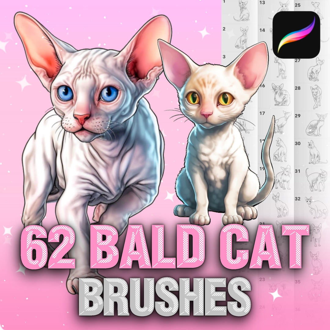 Procreate Cat Brushes. Procreate Sphynx Bald Cats Brush. Procreate ...