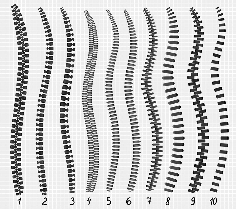 Procreate Zipper Brushes. Procreate Zip Brush Set. Brushes for | Etsy