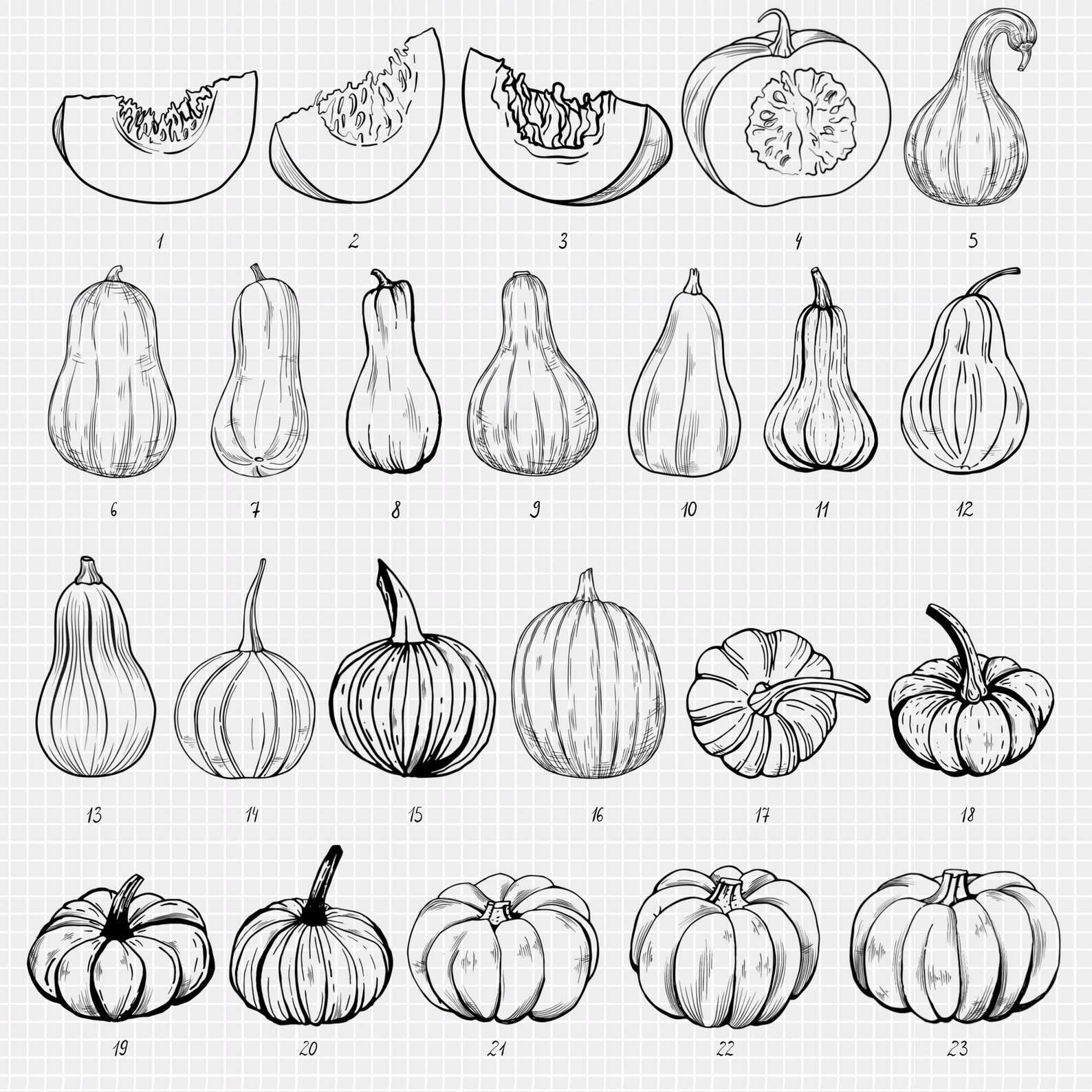 Procreate Pumpkin Stamp Brushes. Procreate Halloween. - Etsy
