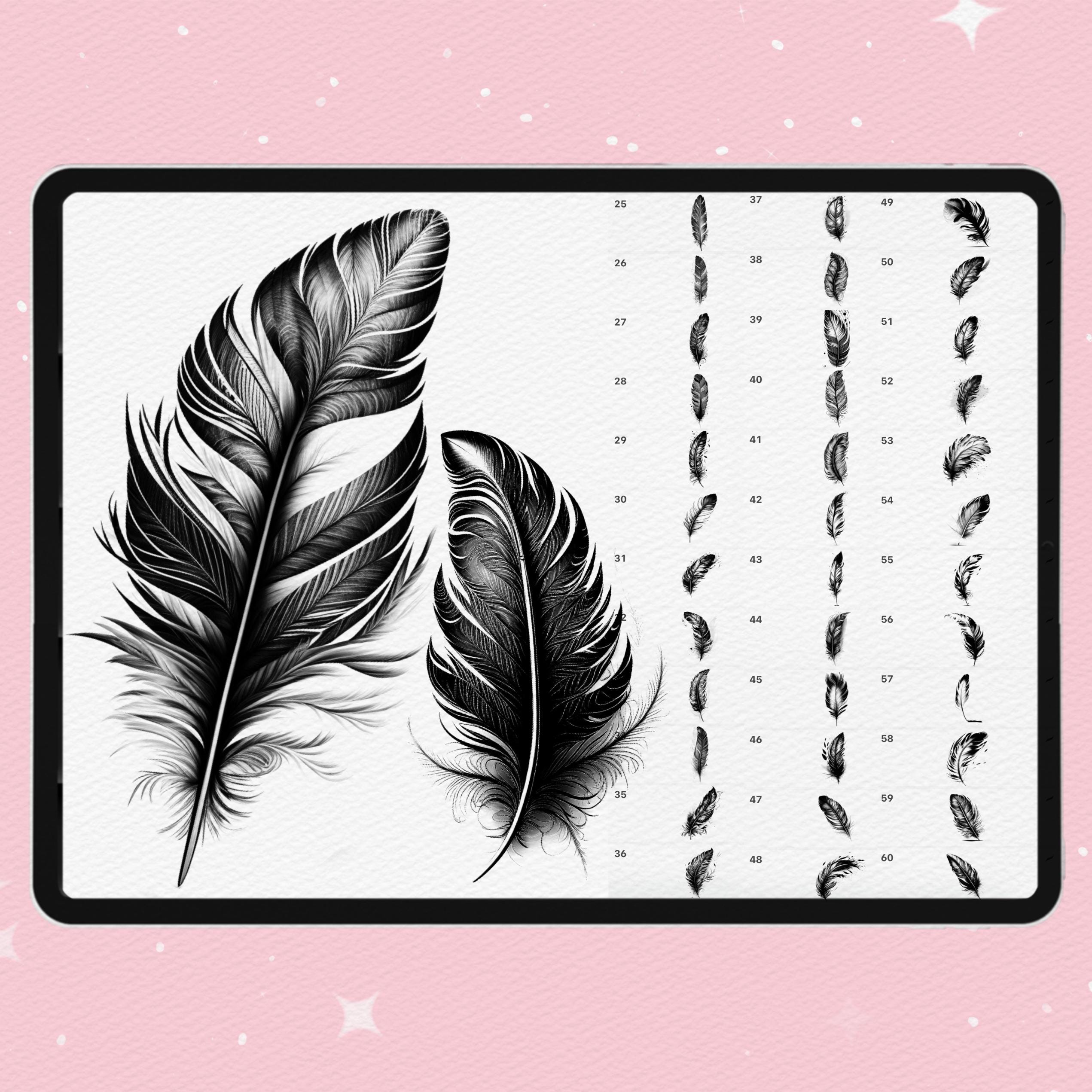 Procreate Feather Brushes. Procreate Realistic Feather Tattoo Brush ...