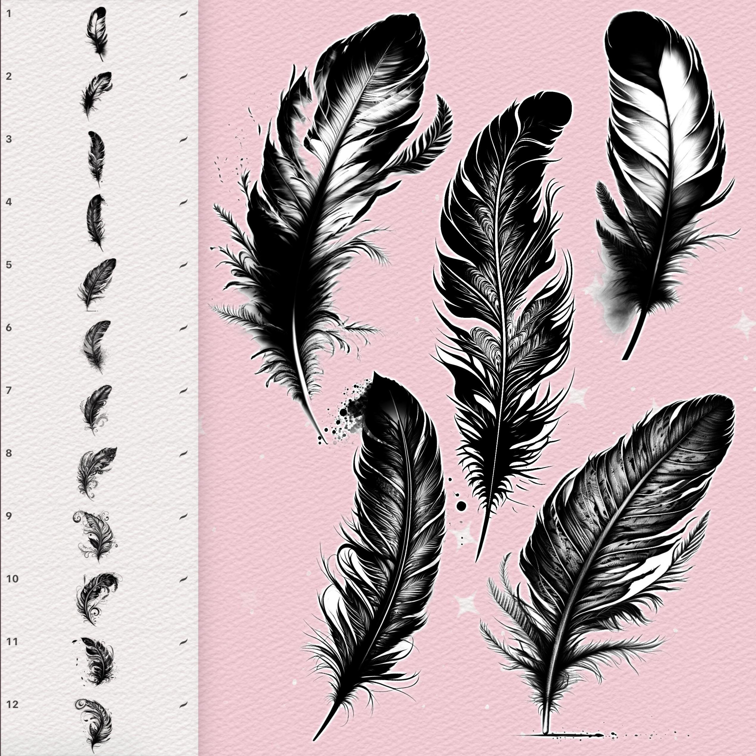 Procreate Feather Brushes. Procreate Realistic Feather Tattoo Brush ...