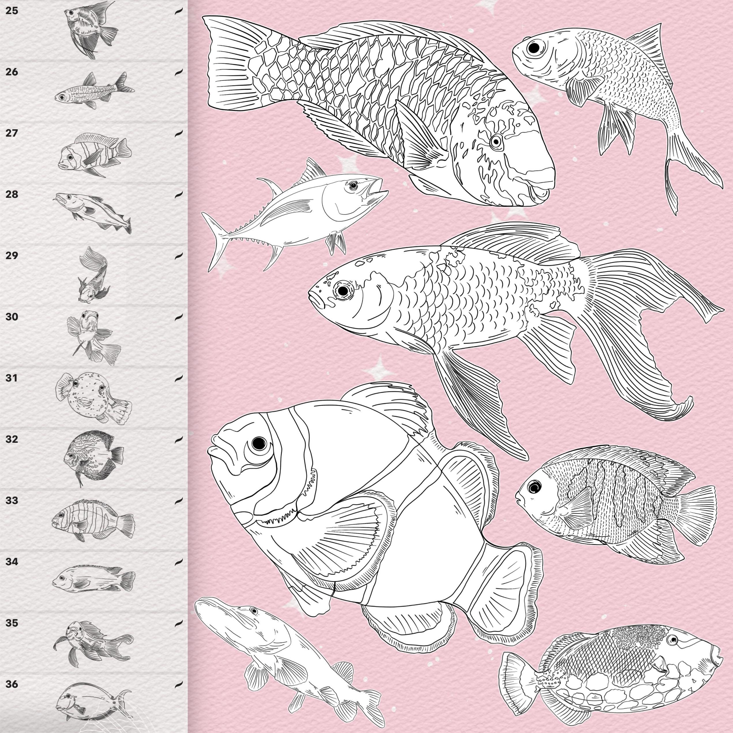Procreate Fish Brushes. Procreate Sea Life Brushes. Procreate Ocean ...