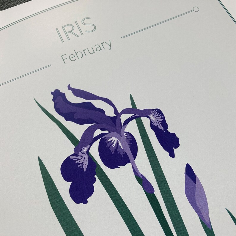 February Birth Month Flower Iris A4 Art Prints - Etsy