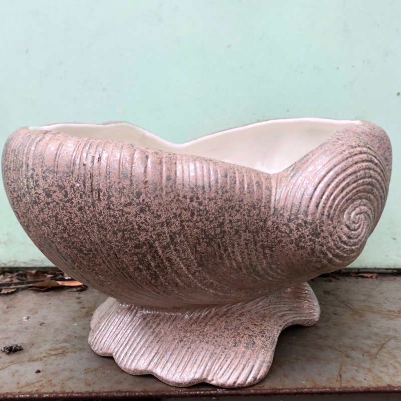 Shell Planter - Etsy