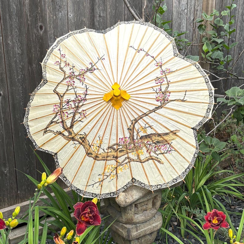 Asian Parasol - Etsy