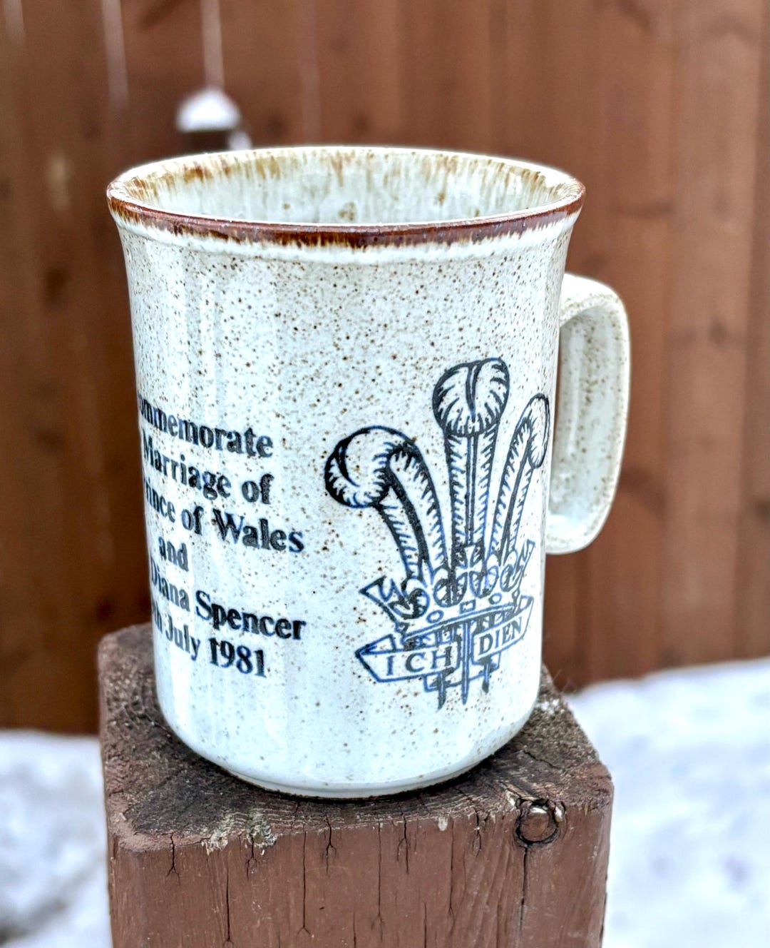Lady Diana Spencer & Prince Charles of Wales Wedding Commemorative Mug ...