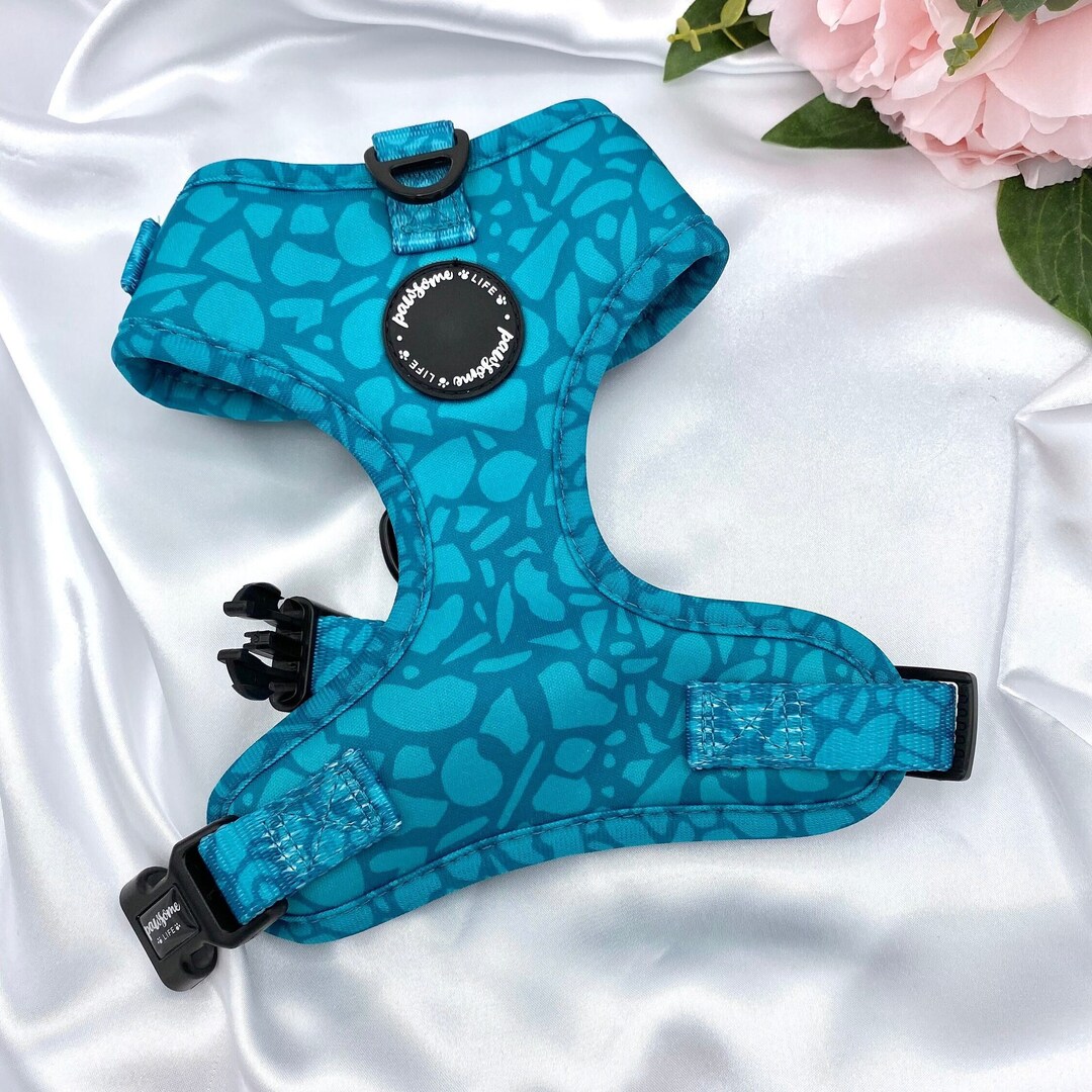 Cute Dog Harness Set, Teal Pattern Stylish Accessories, Birthday Gift ...