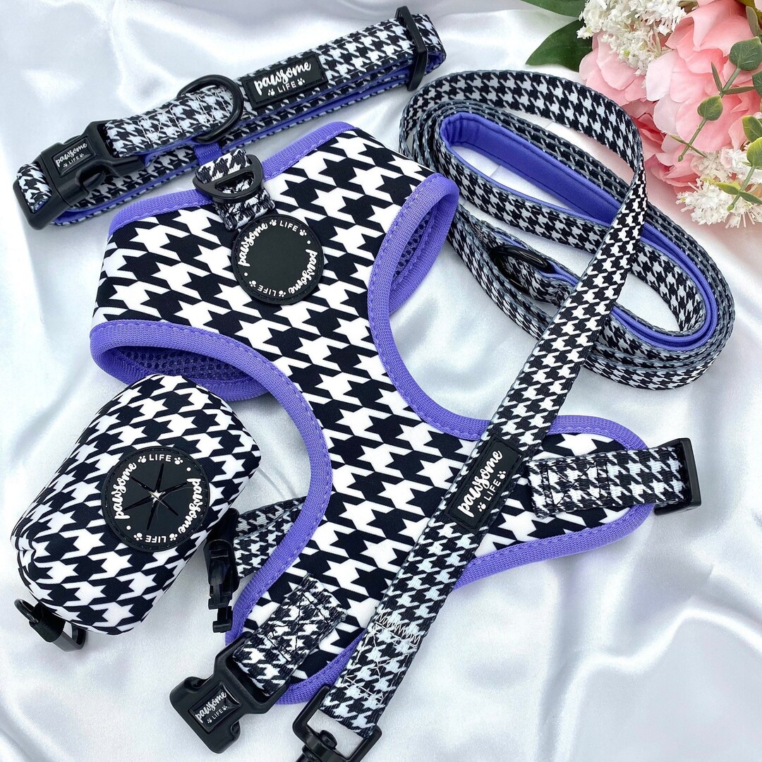 Dog Harness Set, Cute Harness and Leash, Collar Lead Matching Bundle ...