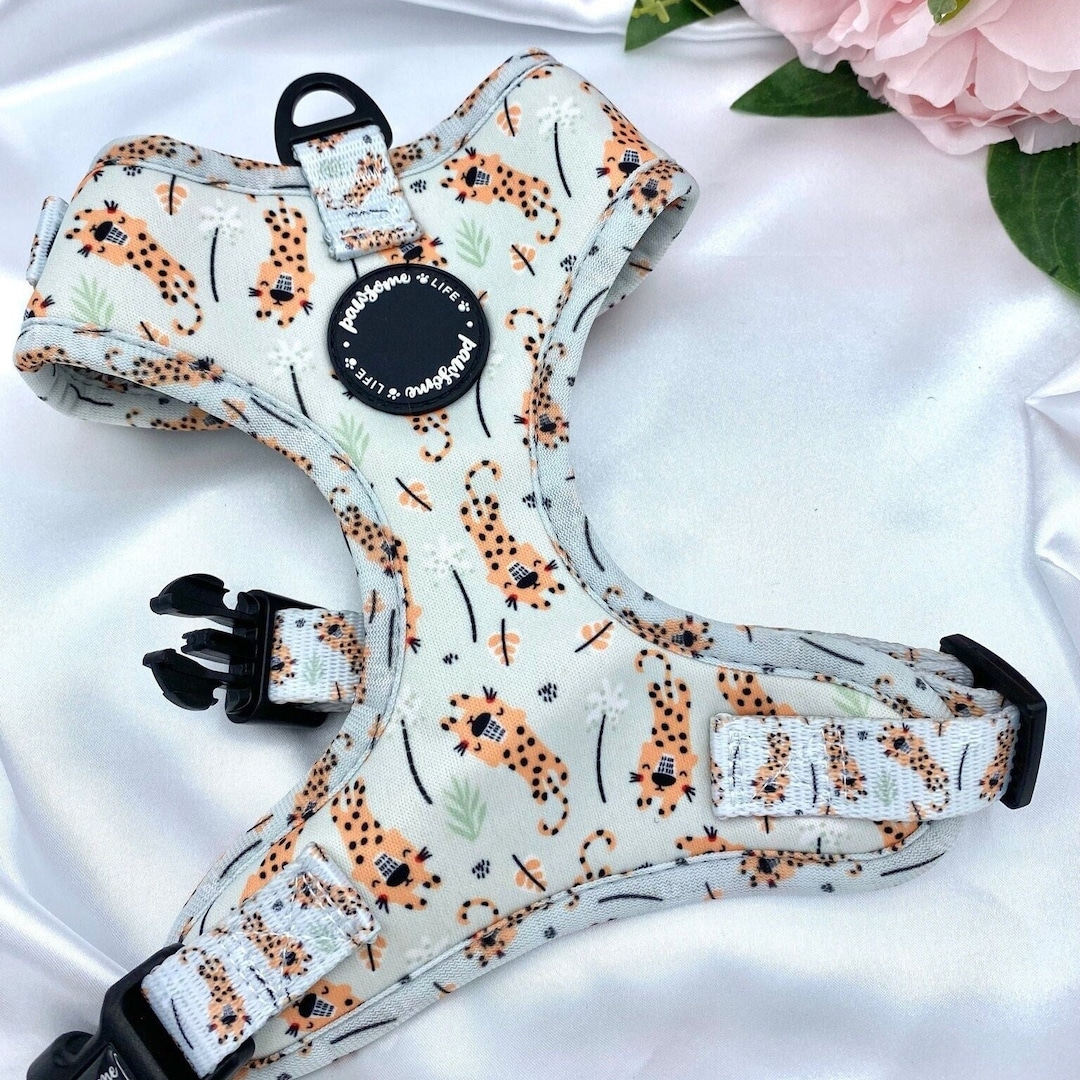 Cute Dog Harness Set, Animal Tiger Pastel Accessories, Birthday Gift ...