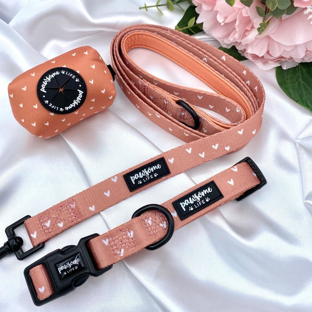 Dog Collar Set, Cute Collar and Leash, Lead Matching Bundle, Small Soft ...