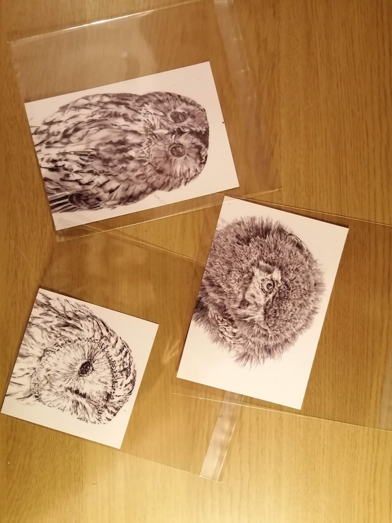 Owl Art Prints - Etsy