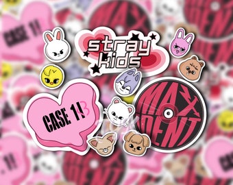 Stray Kids Dwaekki Gym Changbin Sticker for Water Bottles - Etsy