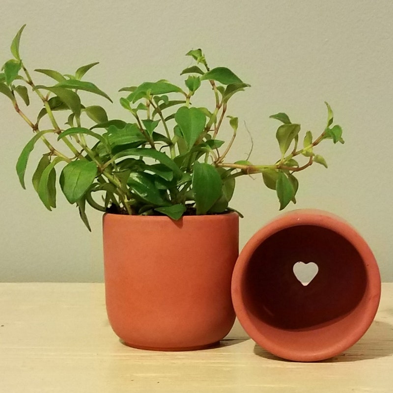 Heart Shaped Pot - Etsy