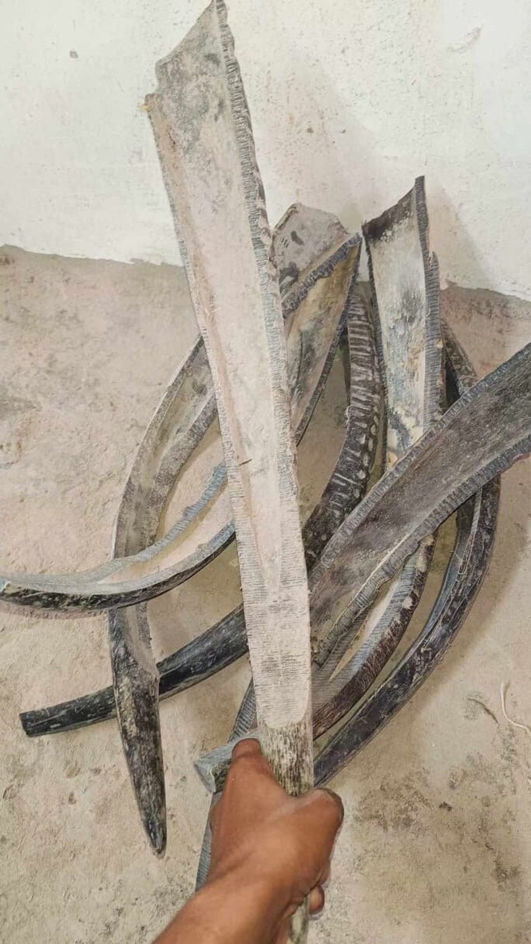 70 Cm Water Buffalo Horn Long Bow Plate / Buffalo Horn Bow Strip ...