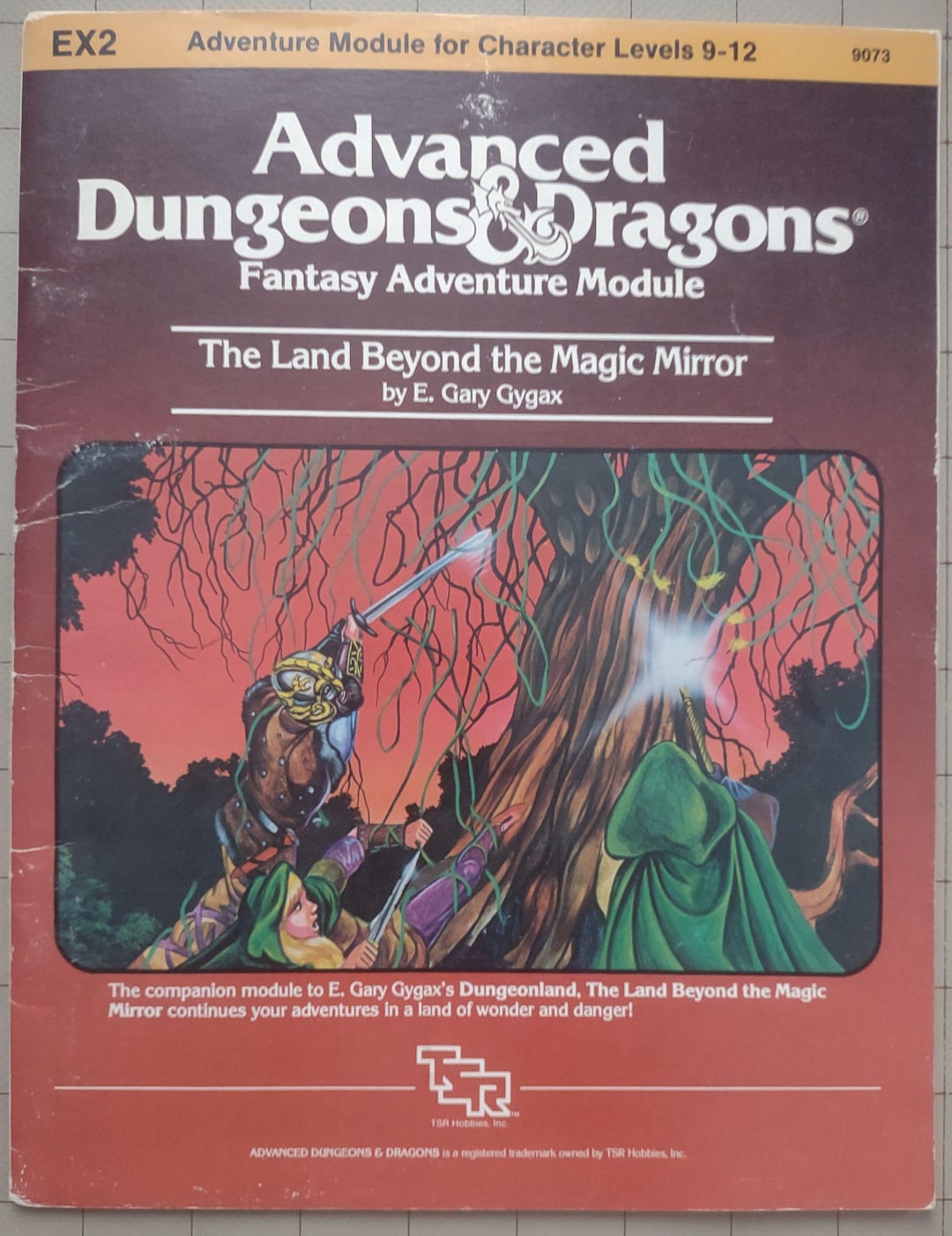 EX2 the Land Beyond the Magic Mirror TSR9073, Advanced Dungeons ...