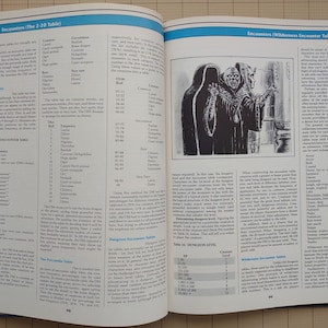 Advanced Dungeons and Dragons 2nd Edition Dungeon Master's Guide, TSR ...