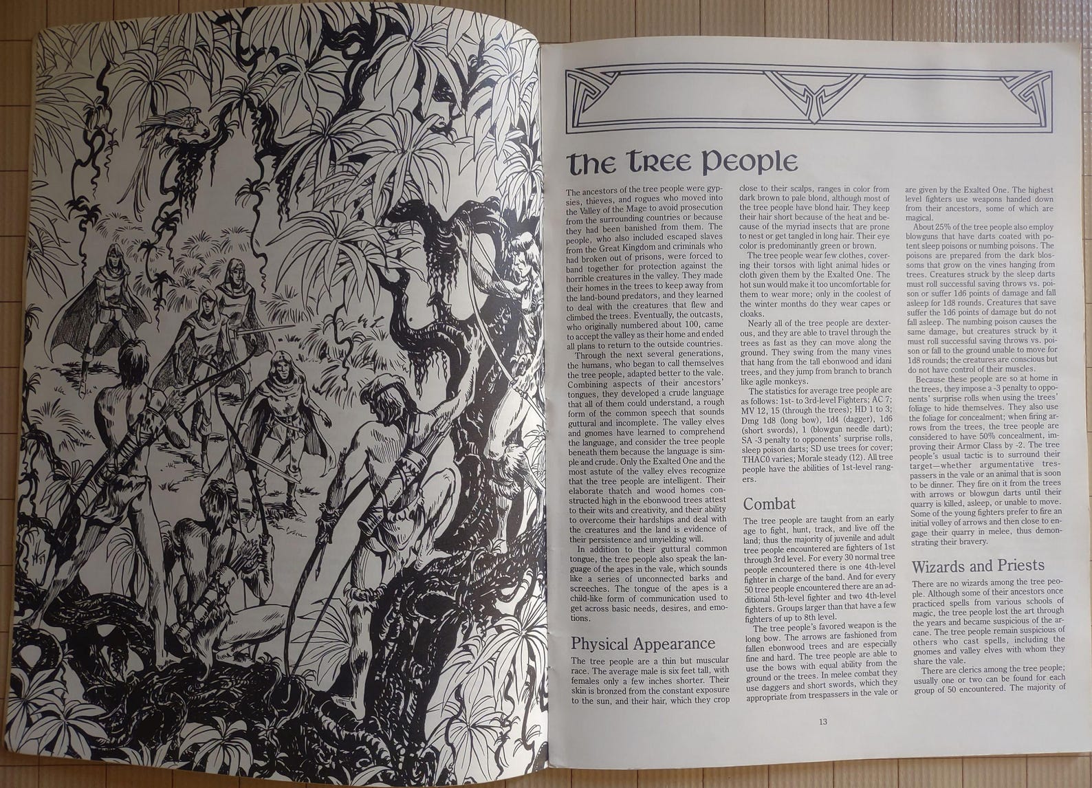 Vale of the Mage, Advanced Dungeons & Dragons 2nd Edition Adventure ...