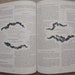 The Great Modron March, Planescape Adventure for Advanced Dungeons ...