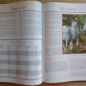 Dungeons and Dragons 2nd Edition Dungeon Master Guide TSR2160, Revised ...