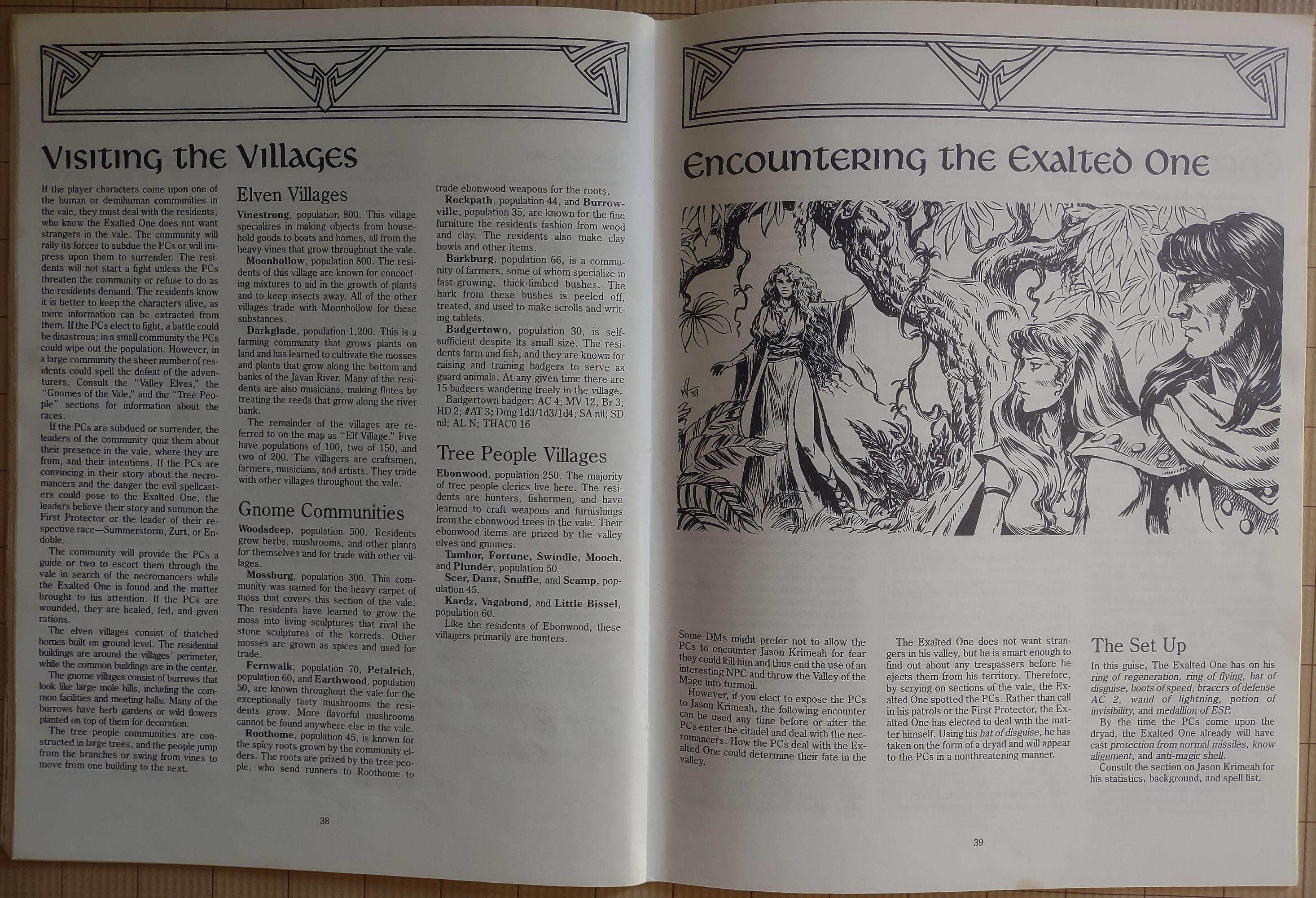 Vale of the Mage, Advanced Dungeons & Dragons 2nd Edition Adventure ...
