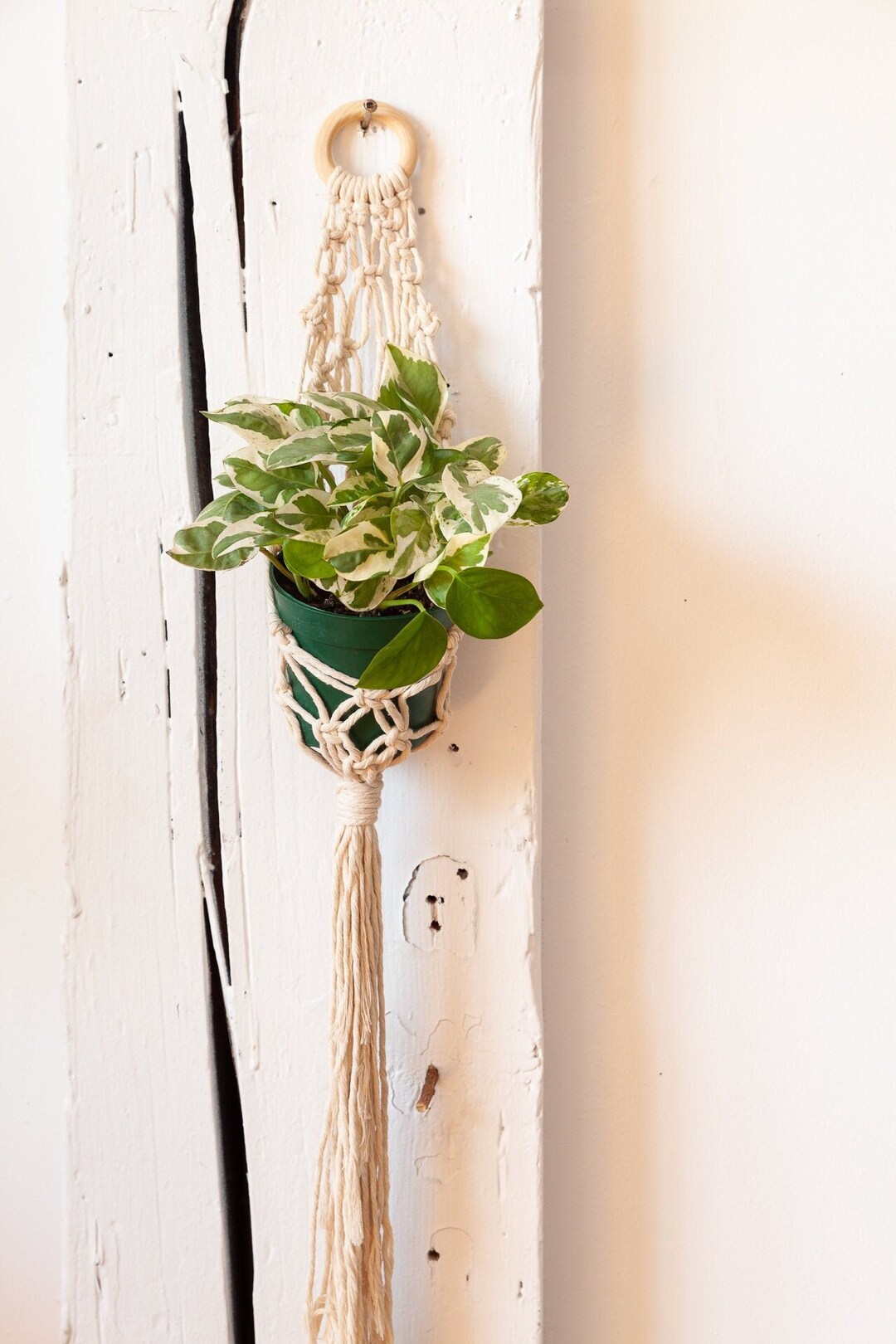 Cache-pot en macramé de style boho, en coton blanc pour plantes ...