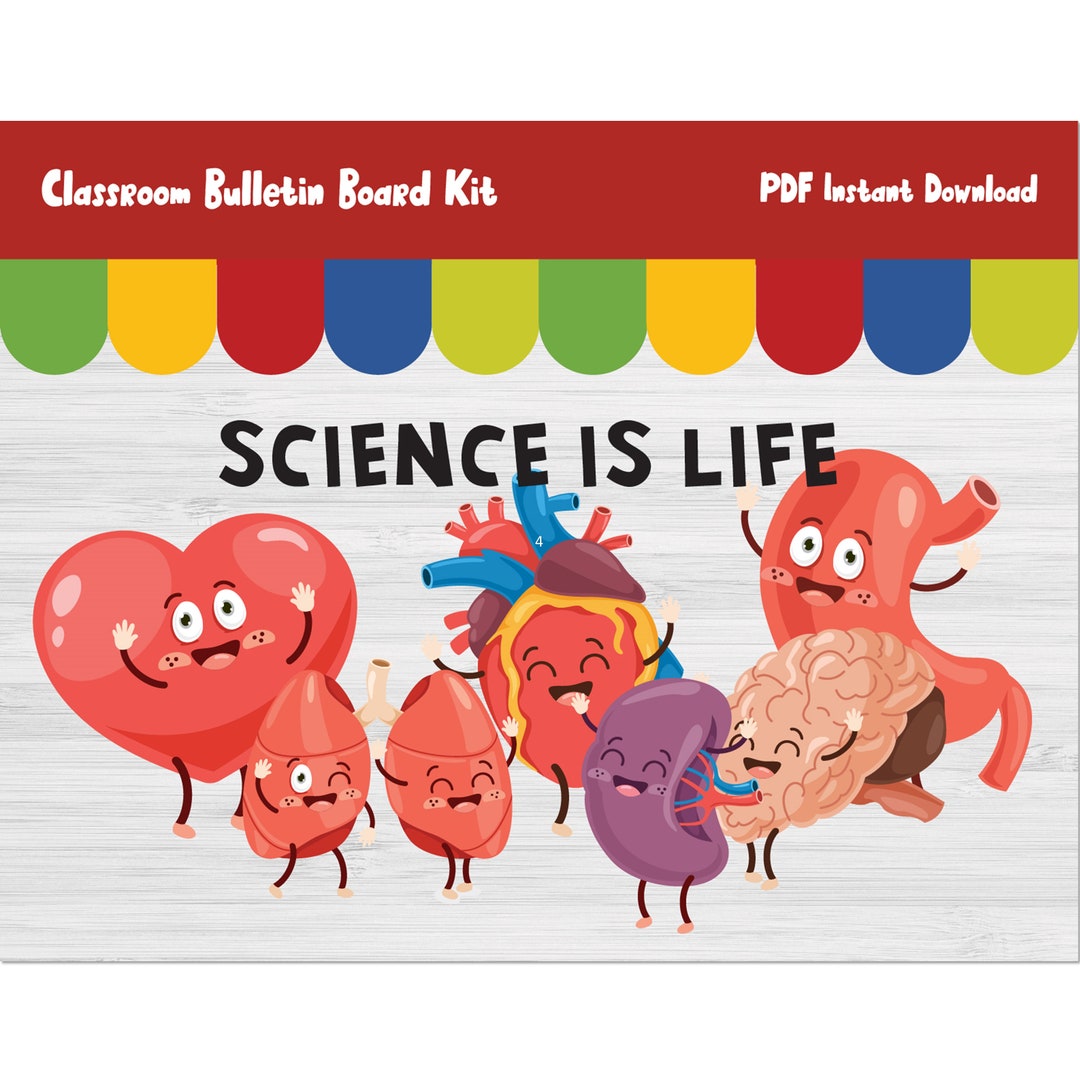 Science Bulletin Board Kit/kindergarten Classroom Decor/preschool Door ...