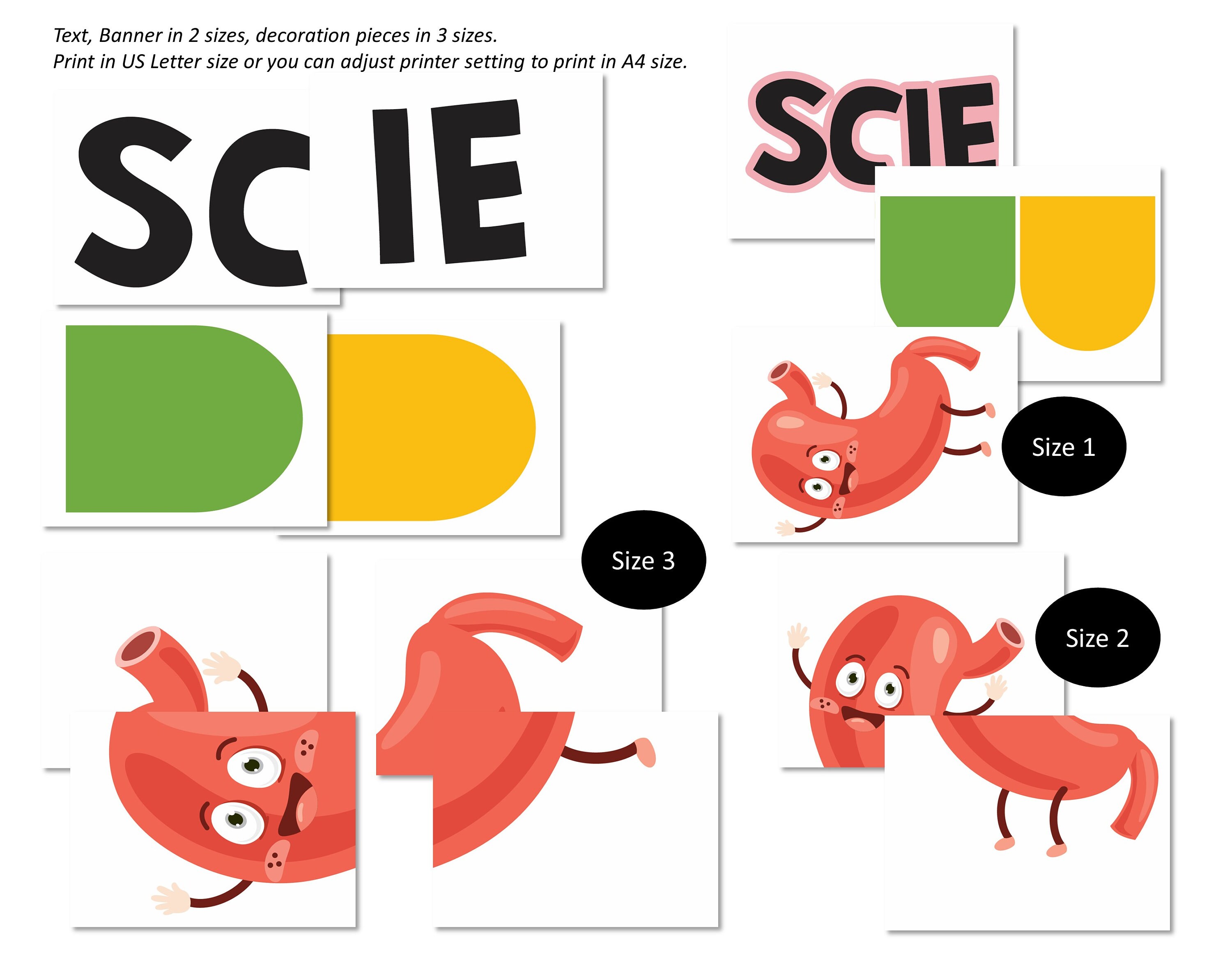 Science Bulletin Board Kit/kindergarten Classroom Decor/preschool Door ...
