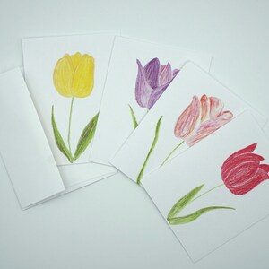 Tulip Collection Note Cards Set of 12 Note Cards & | Etsy