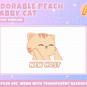 Animated Twitch Alerts Adorable Peach Tabby Cat - Etsy