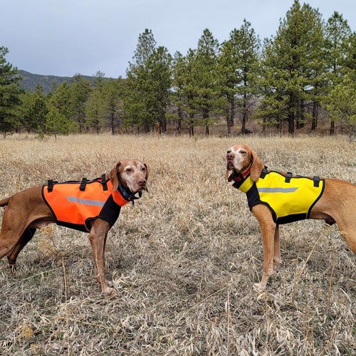 Vizsla GSP Field Vest Dog Safety Vest for Visibility & - Etsy