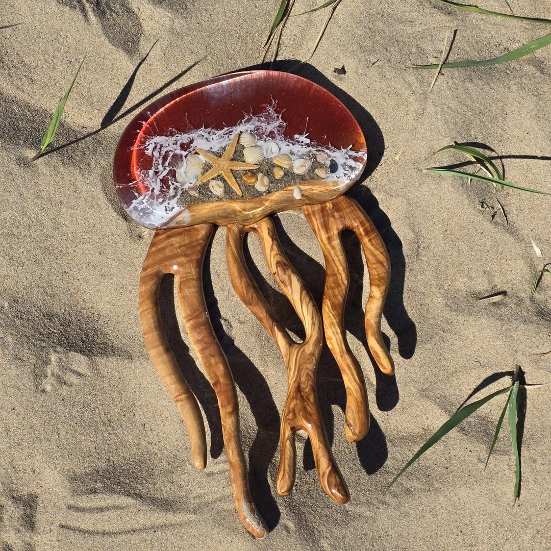 Large Jellyfish Jellyfish Fire Jellyfish Artwork North Sea Baltic Sea ...