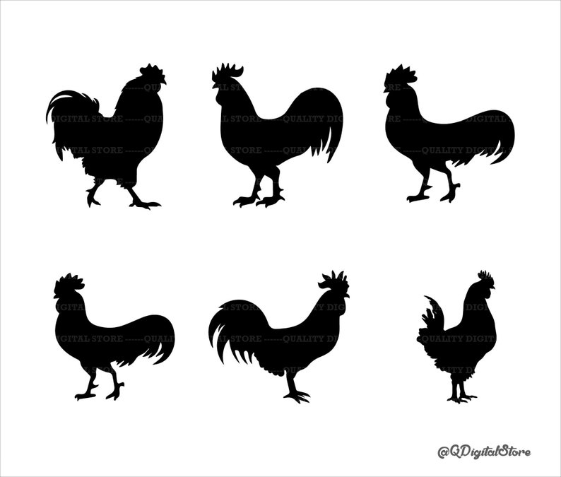 Rooster Svg Bundle Chicken Svg Bundle Rooster Cut File - Etsy