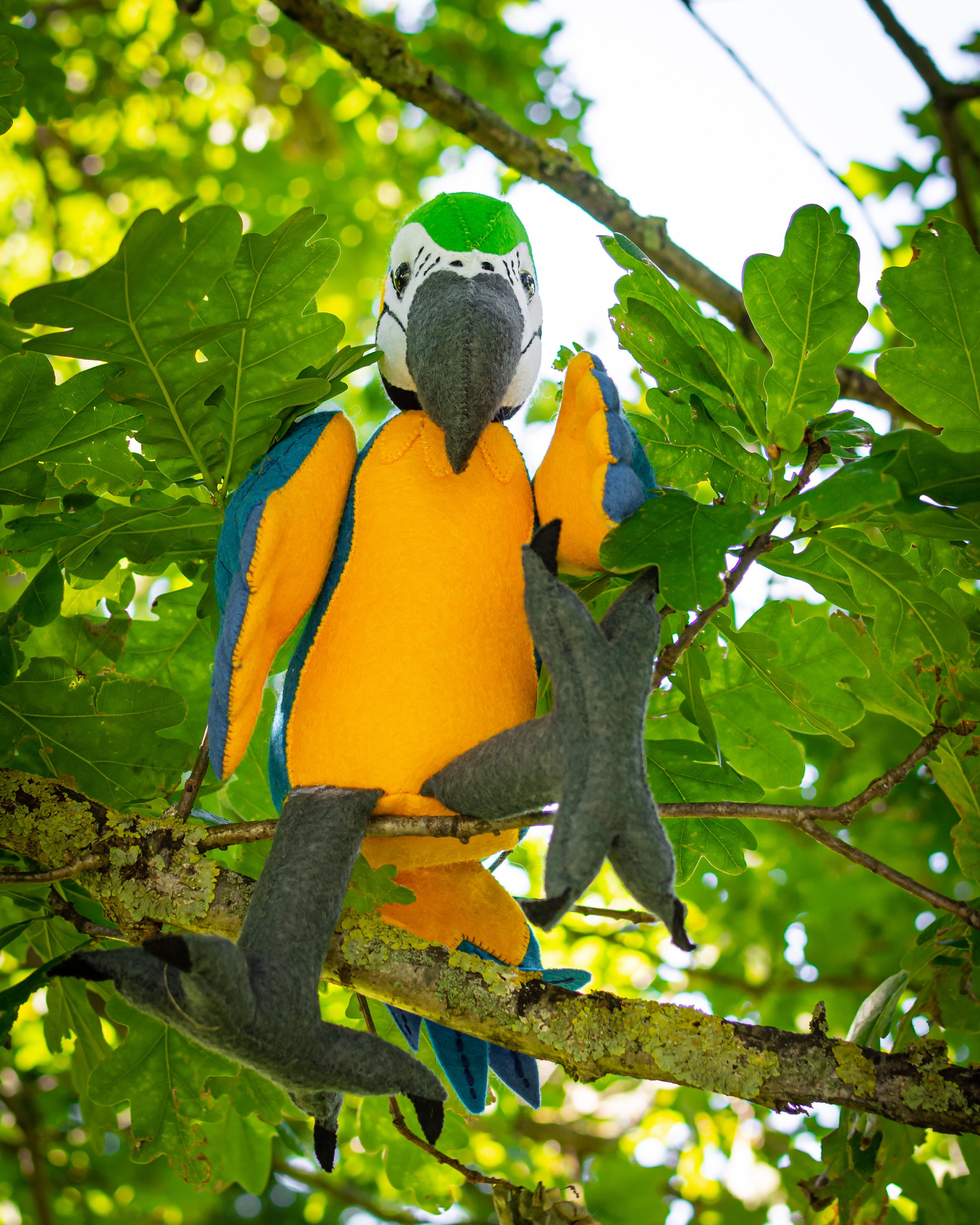 Felt Parrot Pattern,blue and Gold Macaw,handmade,felt Animal,digital ...