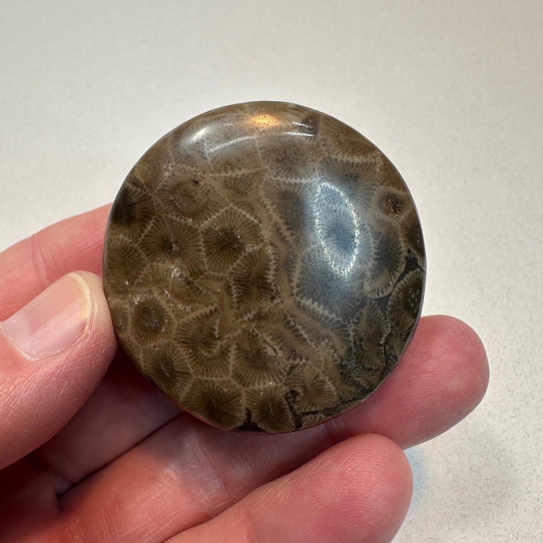 Petoskey Stone Smoke Stone Fossil Coral Cigarette Holder - Etsy