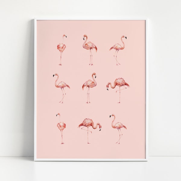 Pale Flamingo Print - Etsy