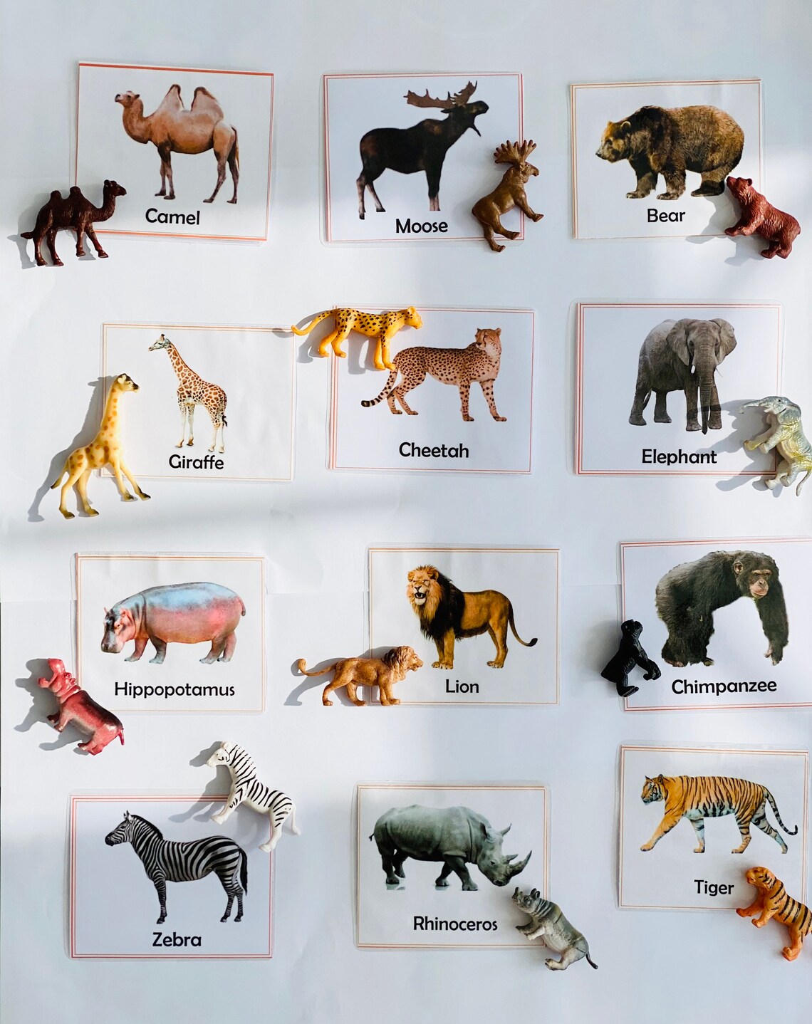 Montessori WILD ANIMALS figures and identification cards | Etsy