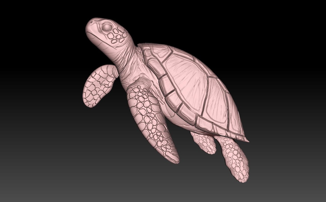 Turtle 3D Model, STL File for CNC Router 3D Printing - Etsy