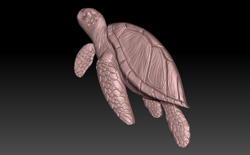 Turtle 3D Model, STL File for CNC Router 3D Printing - Etsy