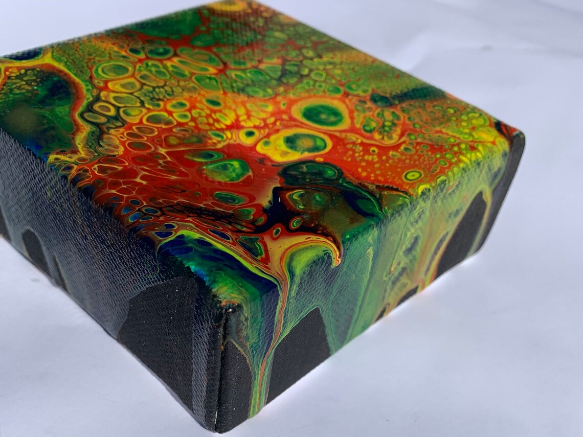 Paint Pour on Canvas "bug" - Etsy