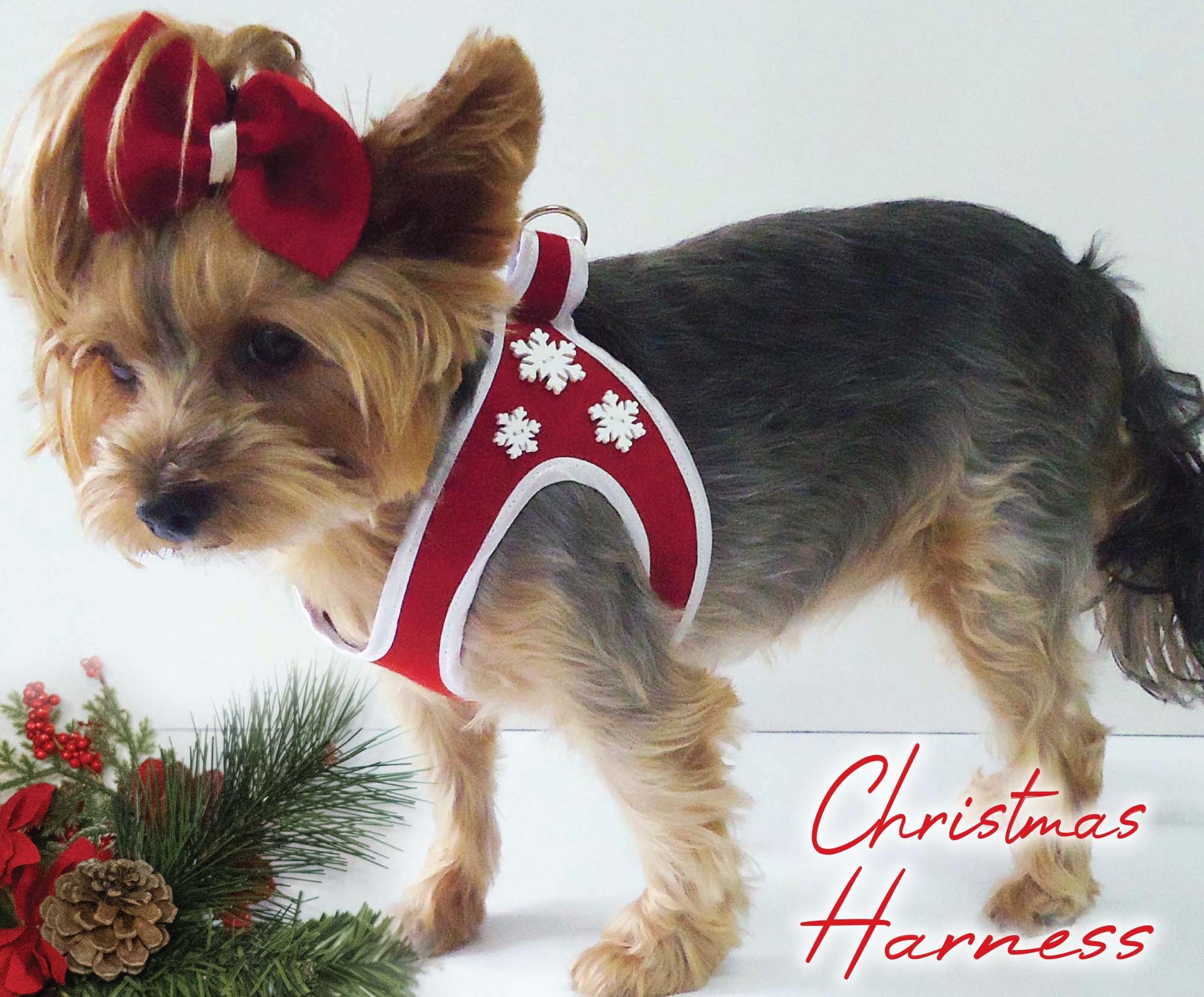 Christmas Dog Harness Pattern Christmas Dog Clothes Pattern - Etsy