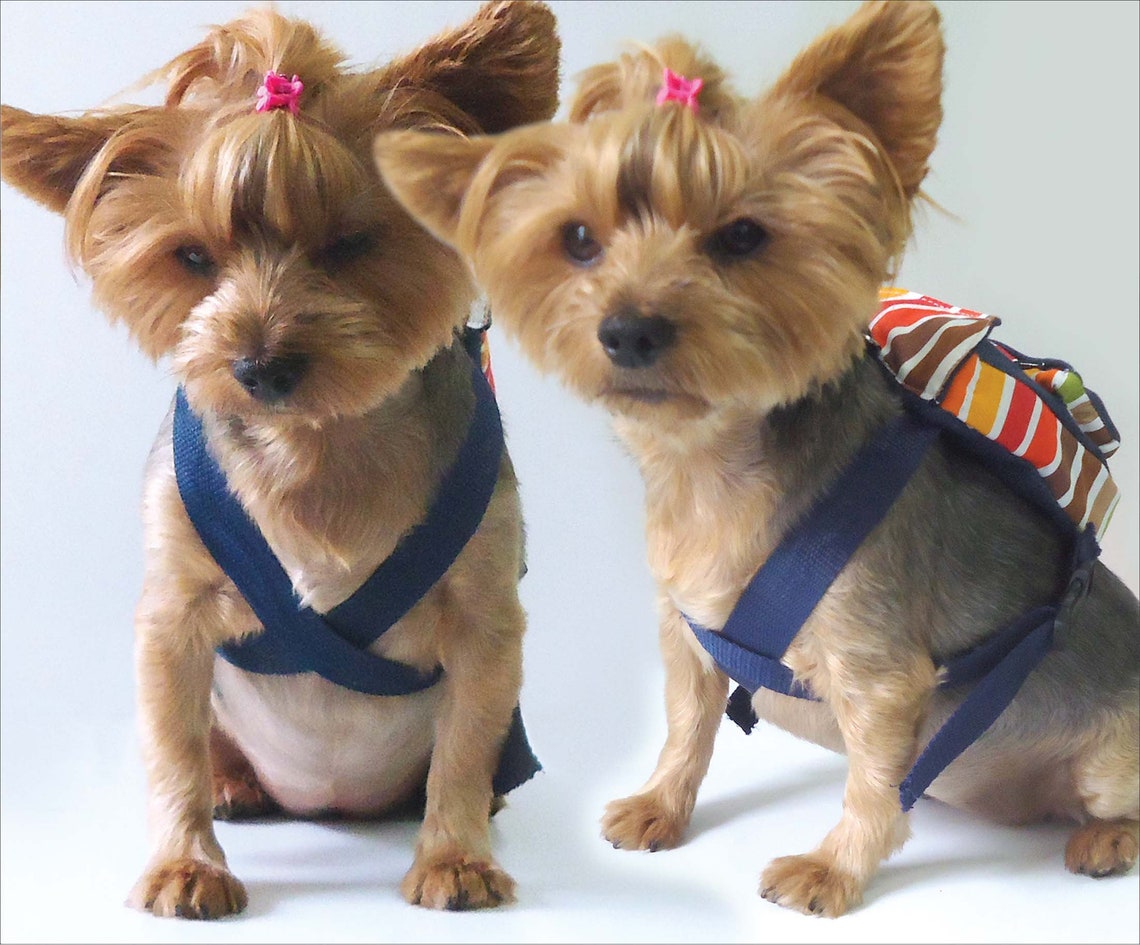 Dog Backpack Harness Sewing Pattern: All Sizes (PDF Pattern) - Etsy