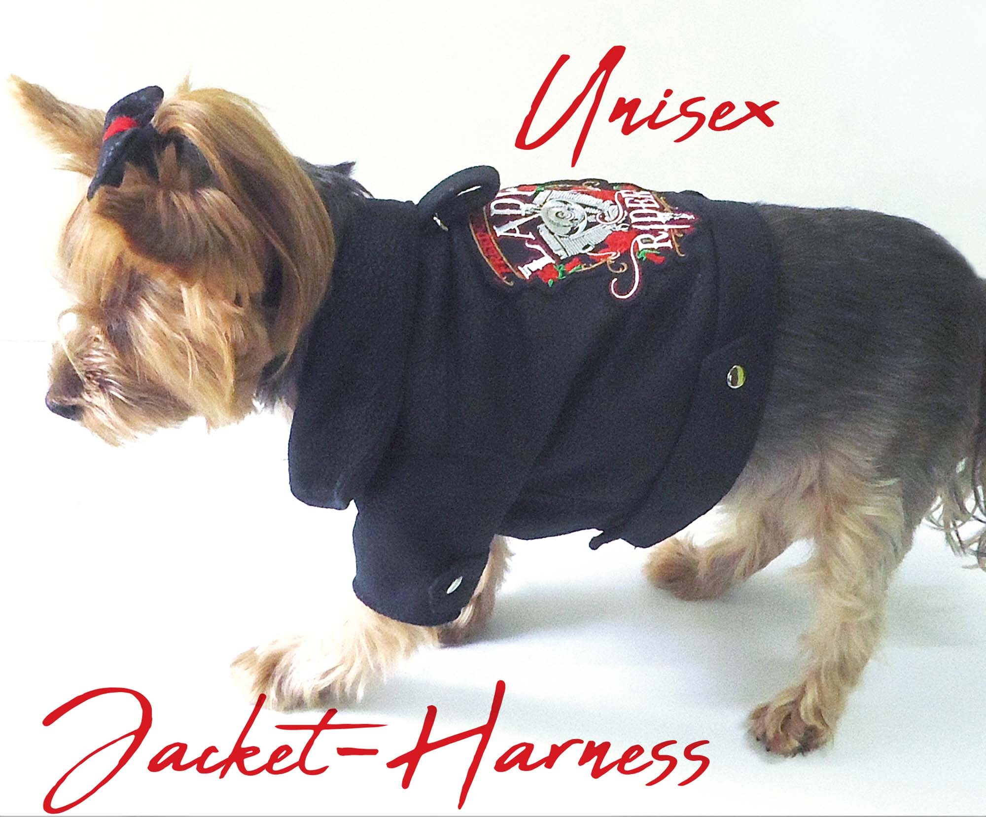 Dog Leather Jacket Pattern Dog Winter Clothes Pattern Dog - Etsy