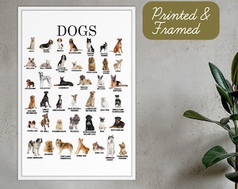 Dog Breeds Poster - Etsy