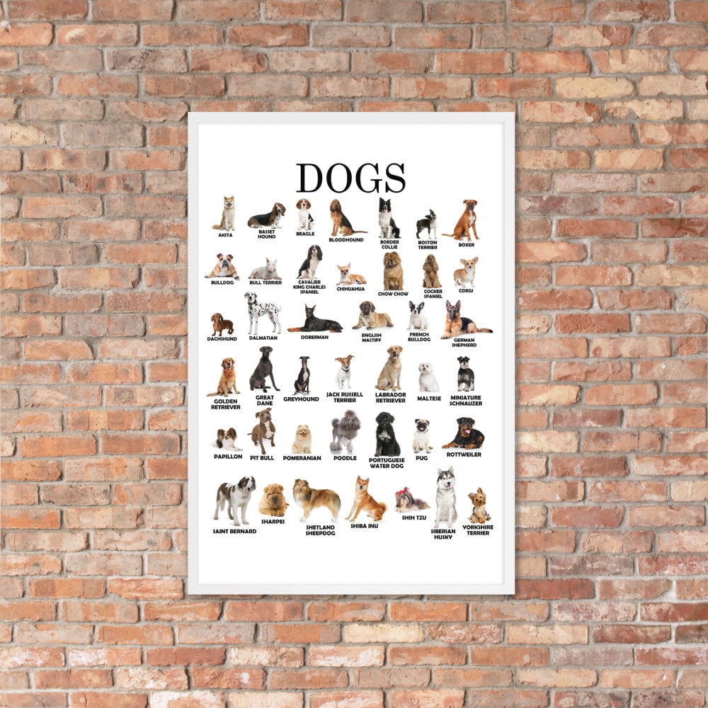 Printed and Framed | Dog Breeds Poster | Montessori - Etsy