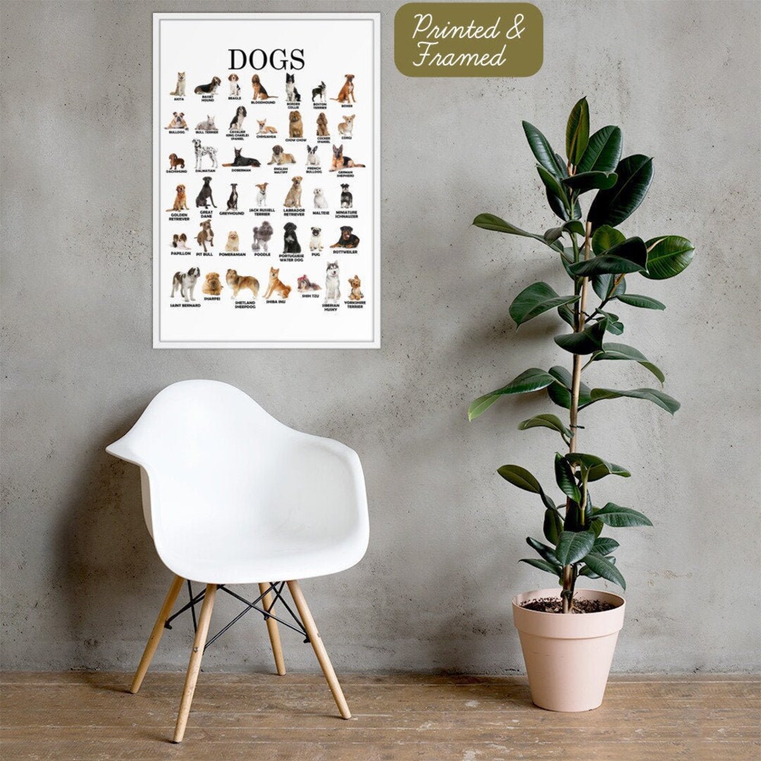 Printed and Framed | Dog Breeds Poster | Montessori - Etsy
