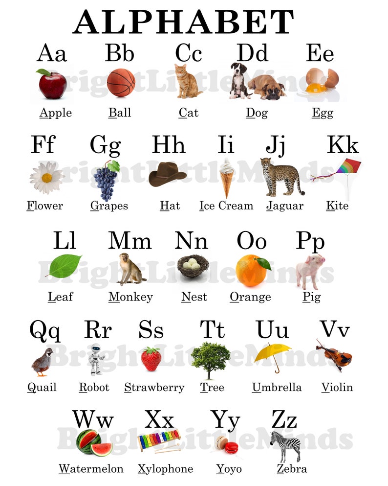 Print | Alphabet Poster Using Actual Examples | Montessori - Etsy Canada