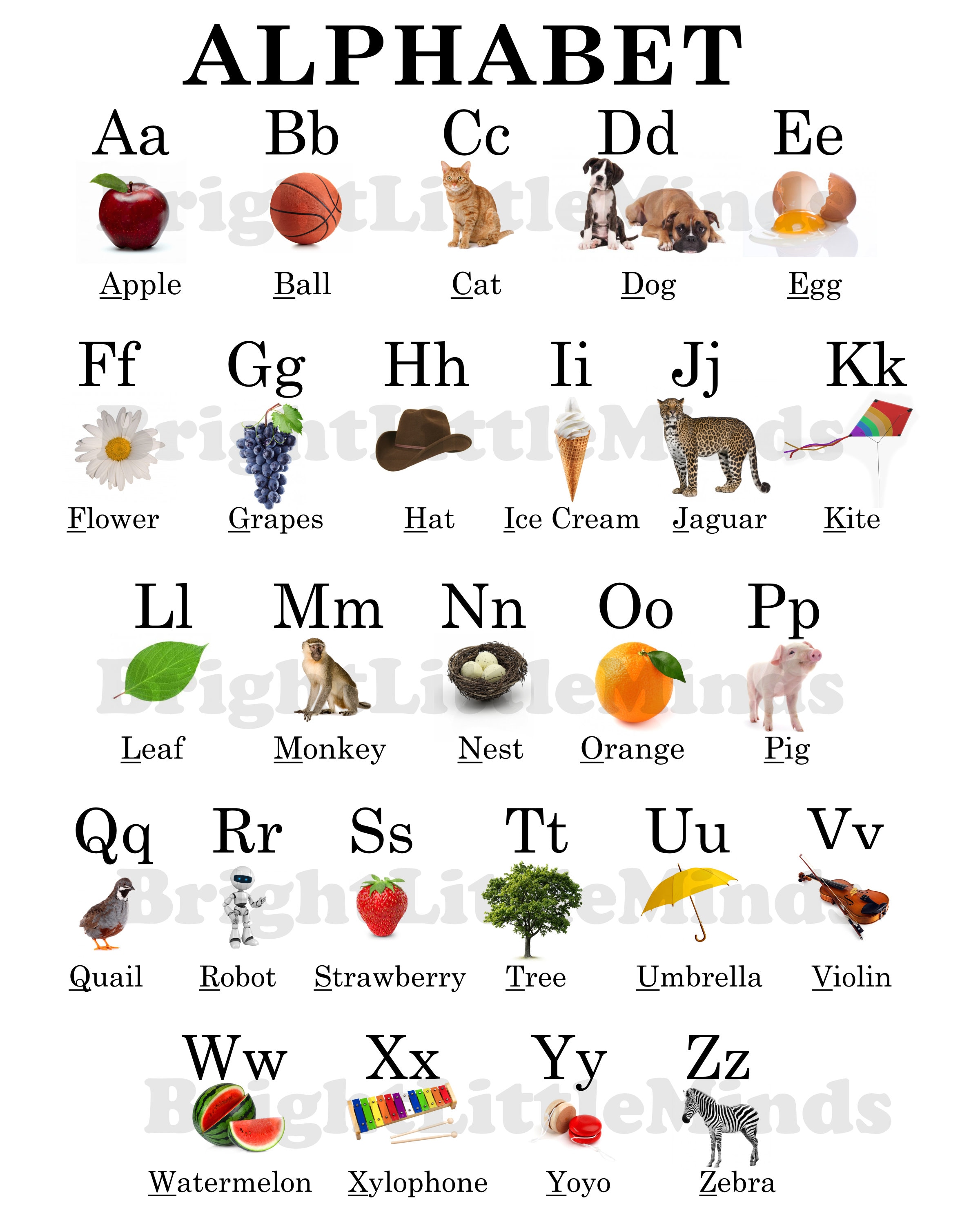 Print | Alphabet Poster Using Actual Examples | Montessori - Etsy Canada