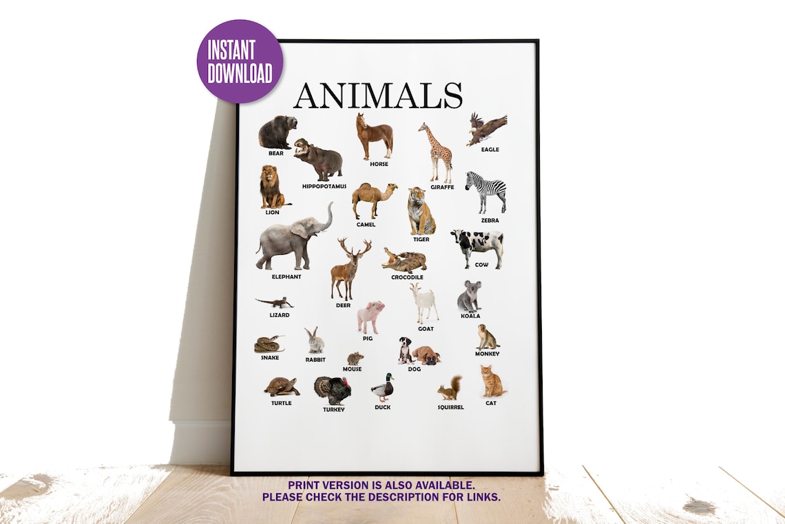Instant Download | Printable Animals Educational Poster | Montessori ...